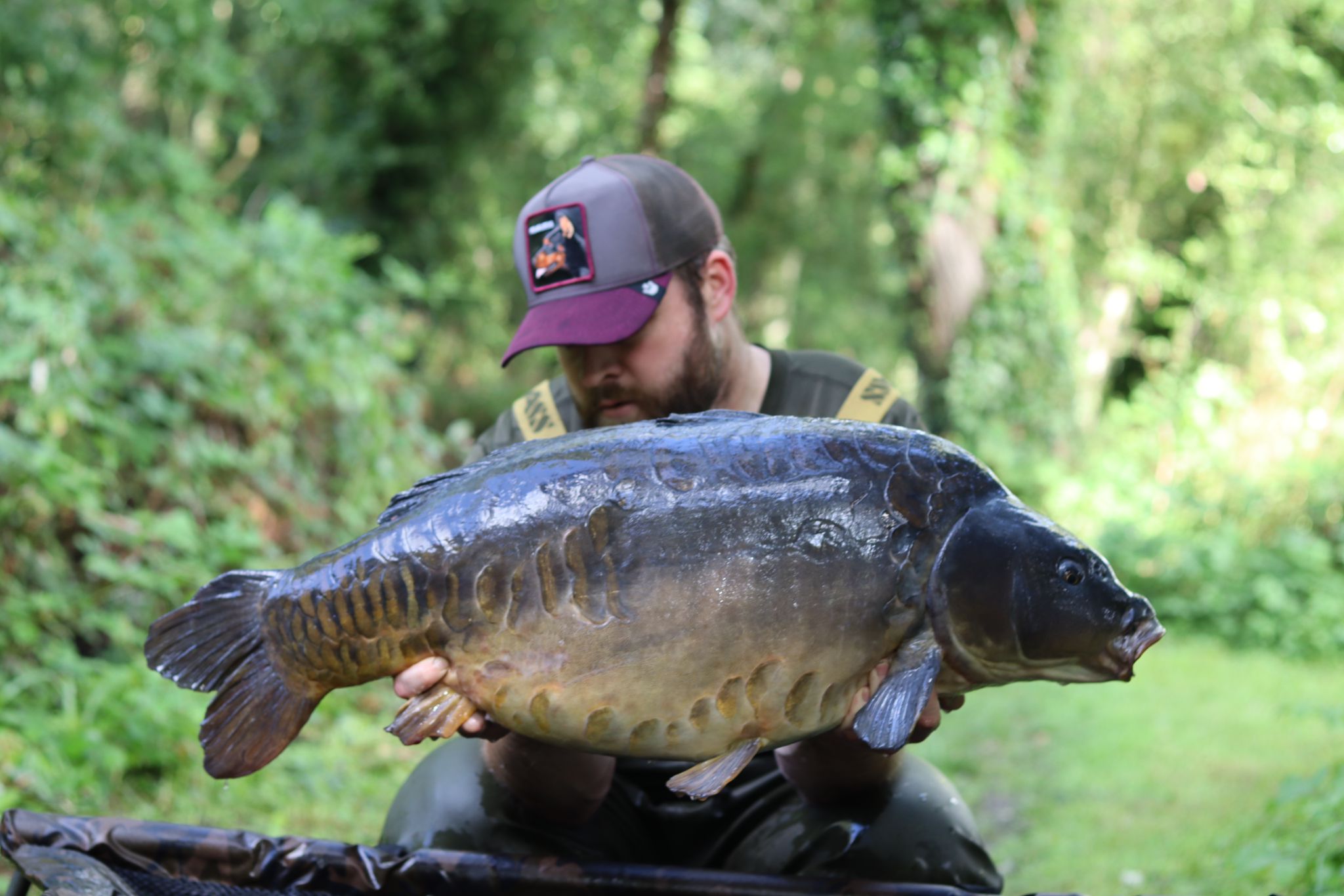 Willow Lake | Carp Fishery Tamworth | 40lb Carp Waiting!