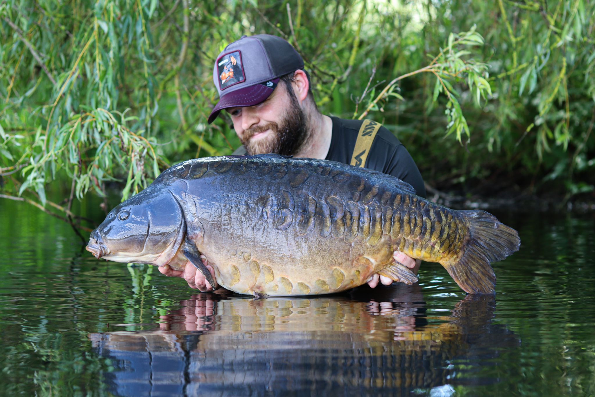 Willow Lake | Carp Fishery Tamworth | 40lb Carp Waiting!